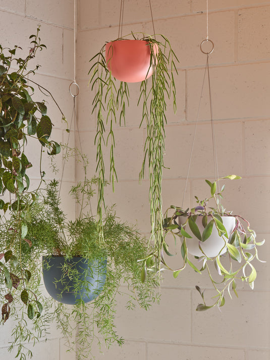 Aaron Probyn designer homeware