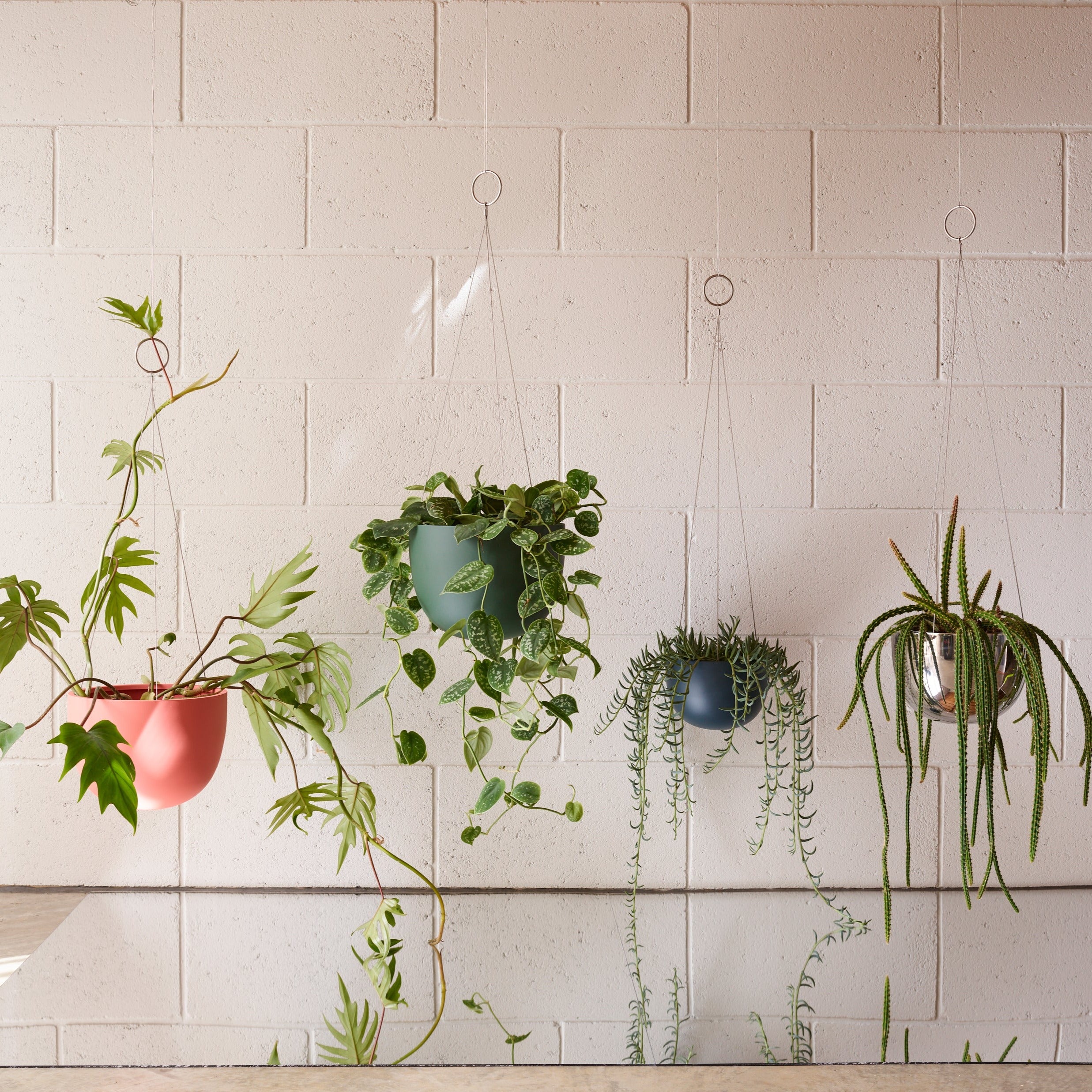 CLIFTON hanging plant pot MEDIUM – Aaron Probyn